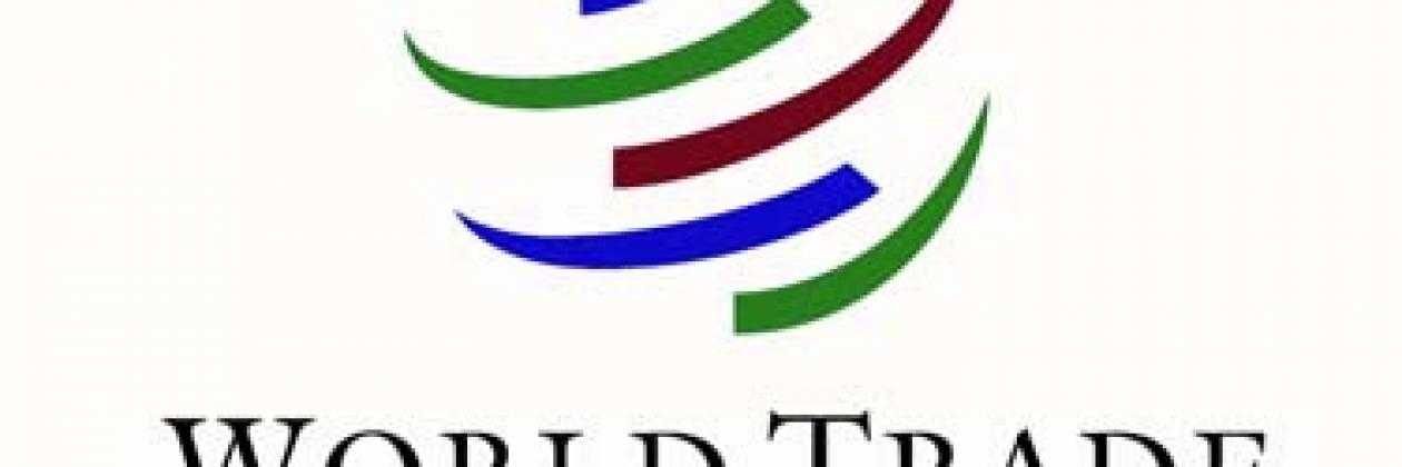 The WTO's Reform Crisis | GEG