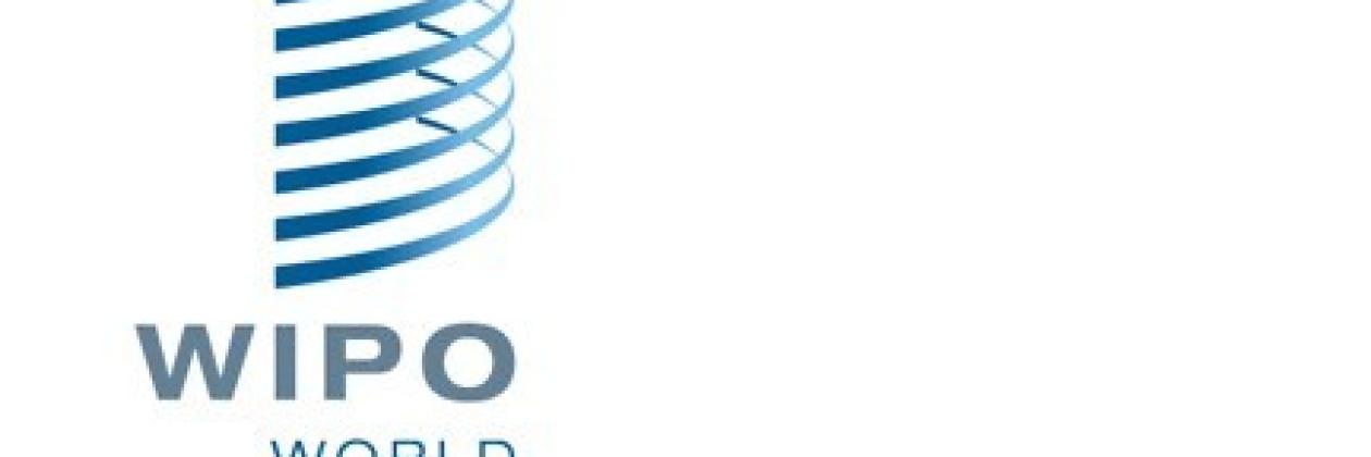 Strengthening Governance of the World Intellectual Property ...