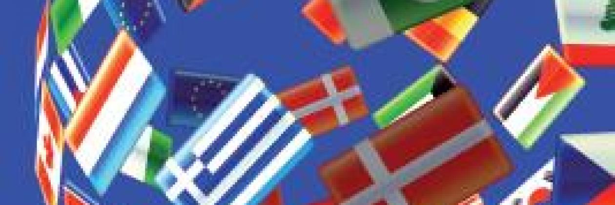 The G20 and Global Governance | GEG